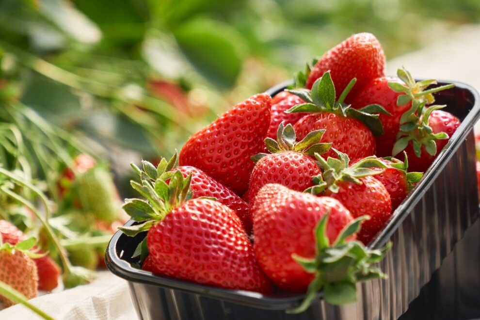 Our Story - CRJ Produce